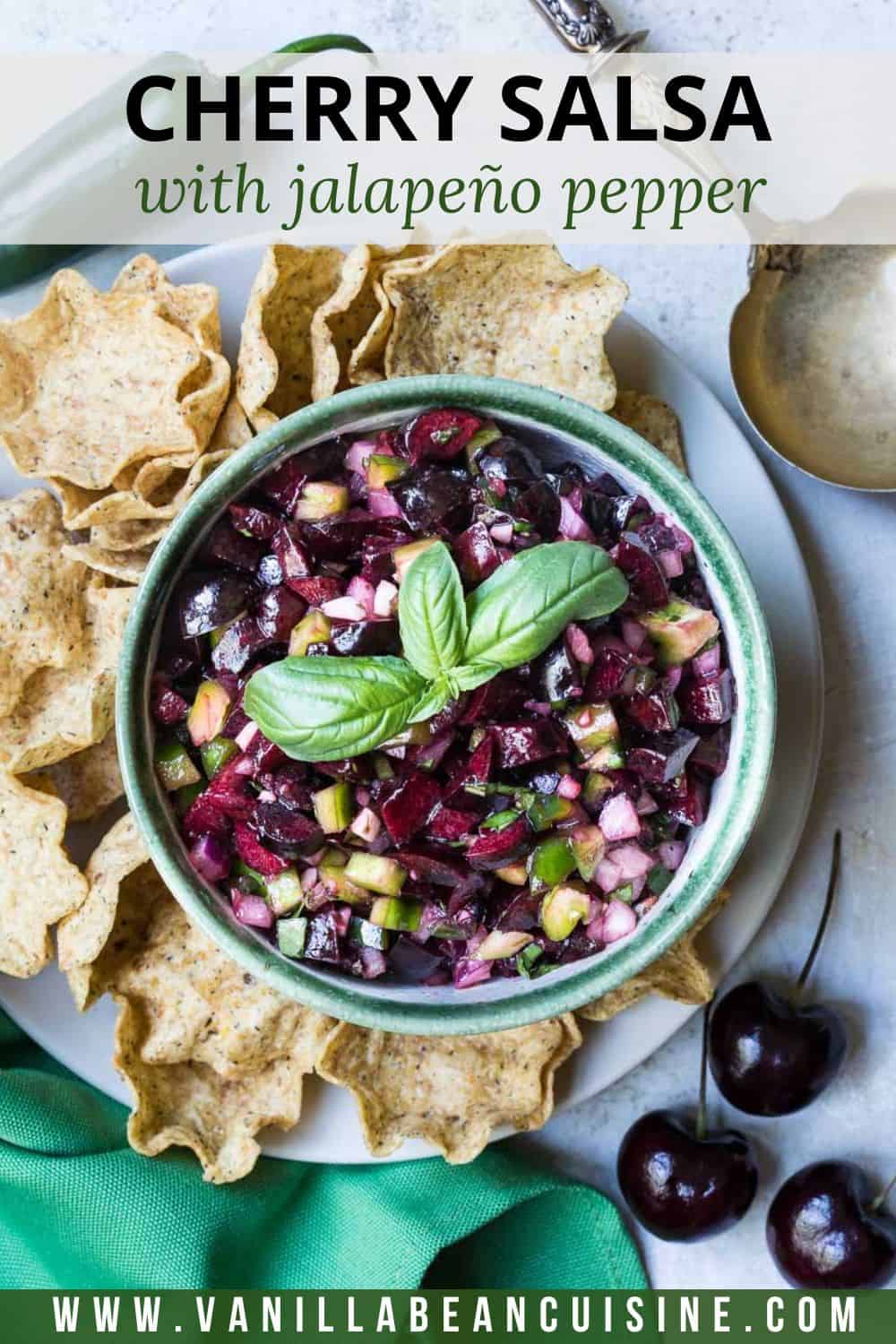 Summer Cherry Salsa - Vanilla Bean Cuisine