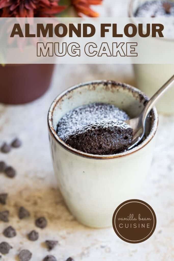 Easy Chocolate Almond Flour Mug Cake - Vanilla Bean Cuisine