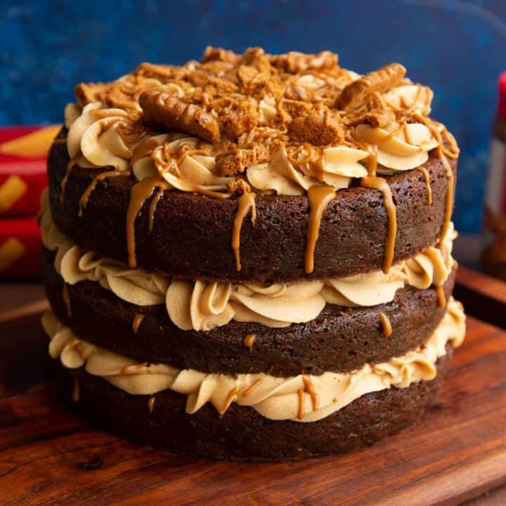 36 Awesome Biscoff Dessert Recipes (cakes, cookies, & more!)
