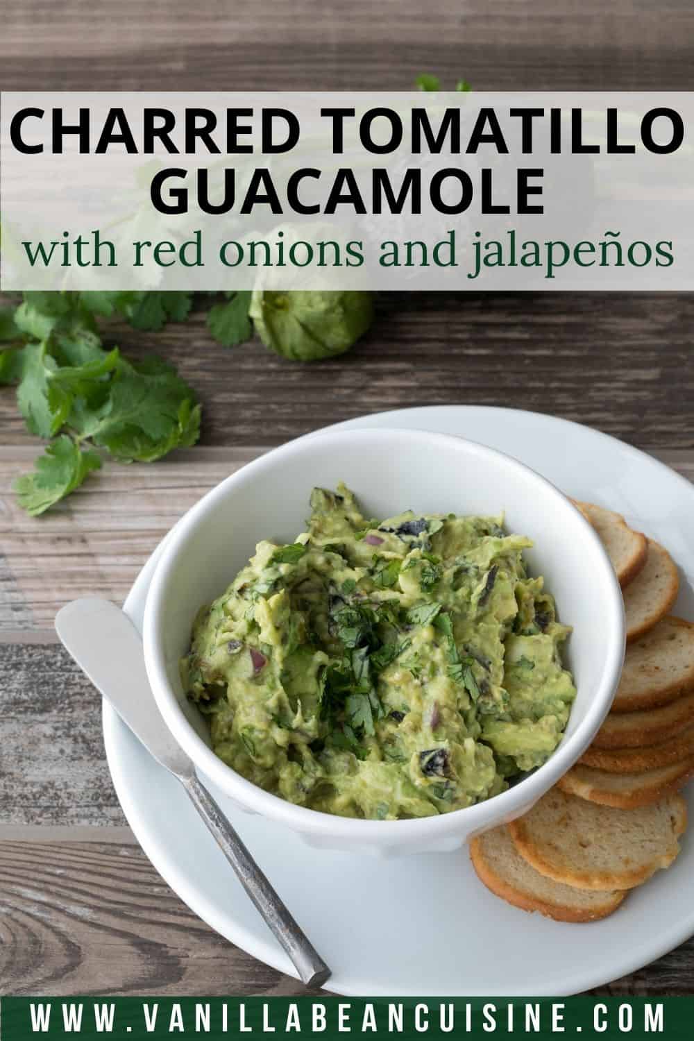 Charred Tomatillo and Red Onion Guacamole - Vanilla Bean Cuisine