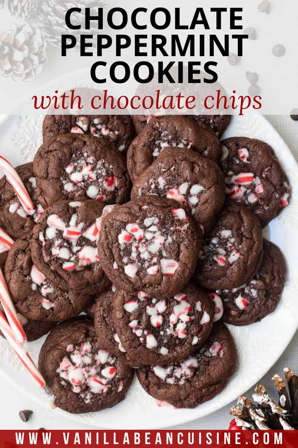 Chocolate Peppermint Cookies - Vanilla Bean Cuisine